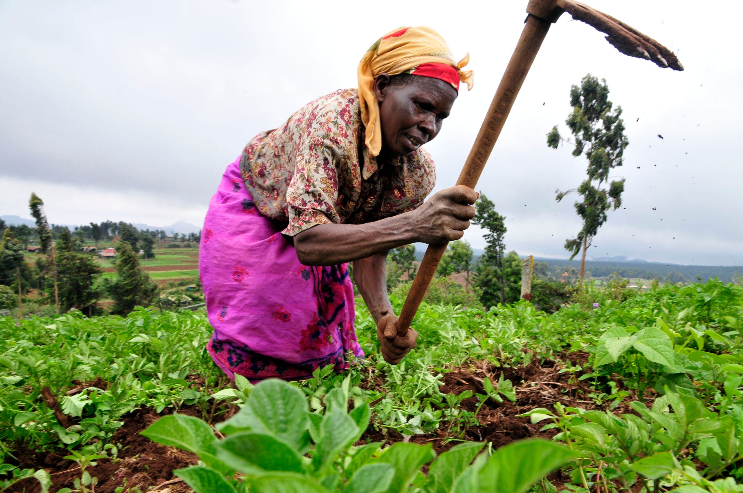 Women and Climate Change - Georgetown Institute for Women, Peace and ...